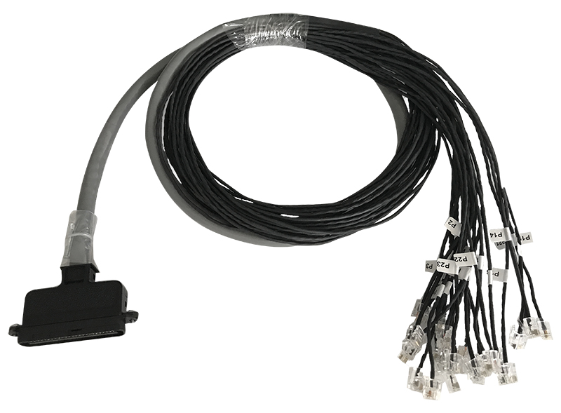 Patton 10-50TELCO/24RJ11 6 Foot Cable 50 PIN TELCO to 24 RJ11 Plugs ...